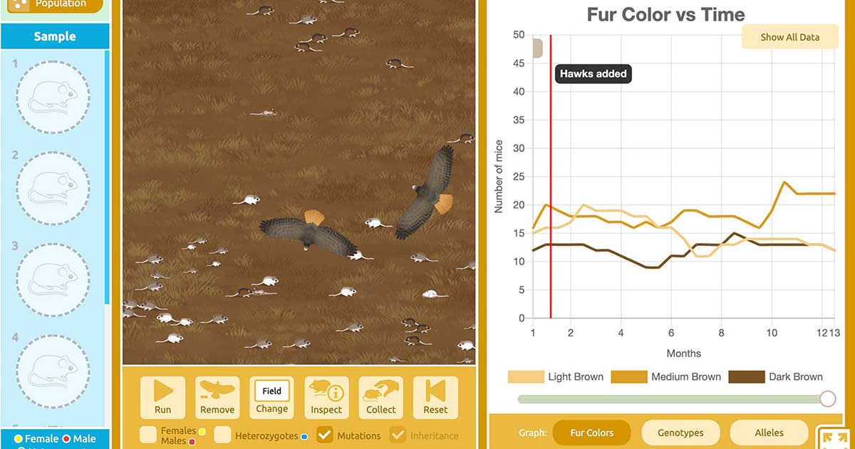 Adaptation is for Populations – Connected Biology